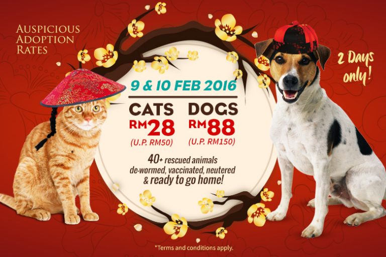 Auspicious Adoption Rates for CNY! - SPCA Selangor