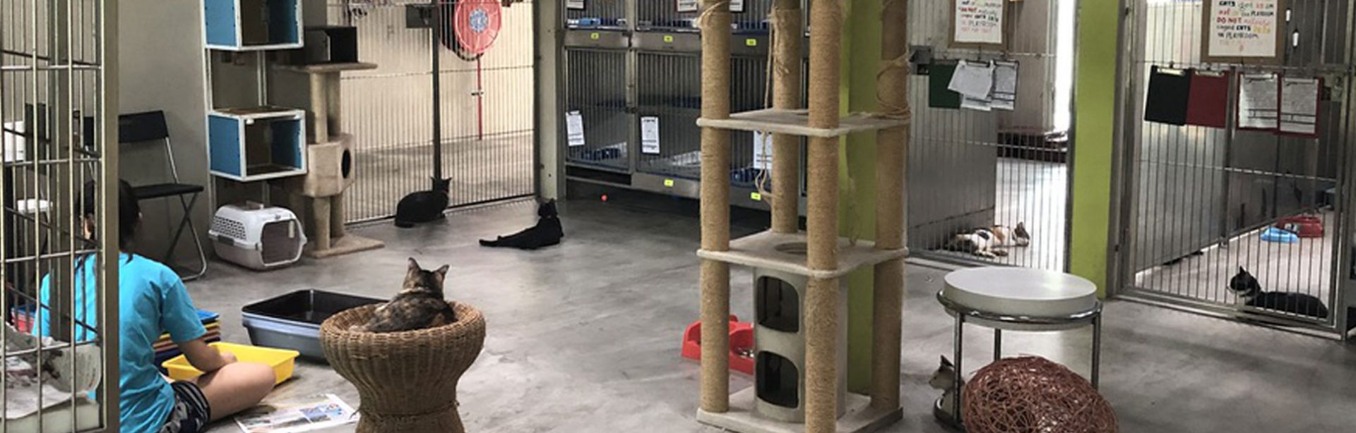 Our Facilities Spca Selangor