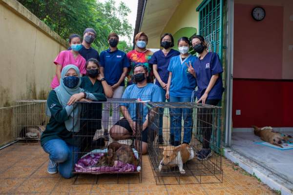 Home - SPCA Selangor