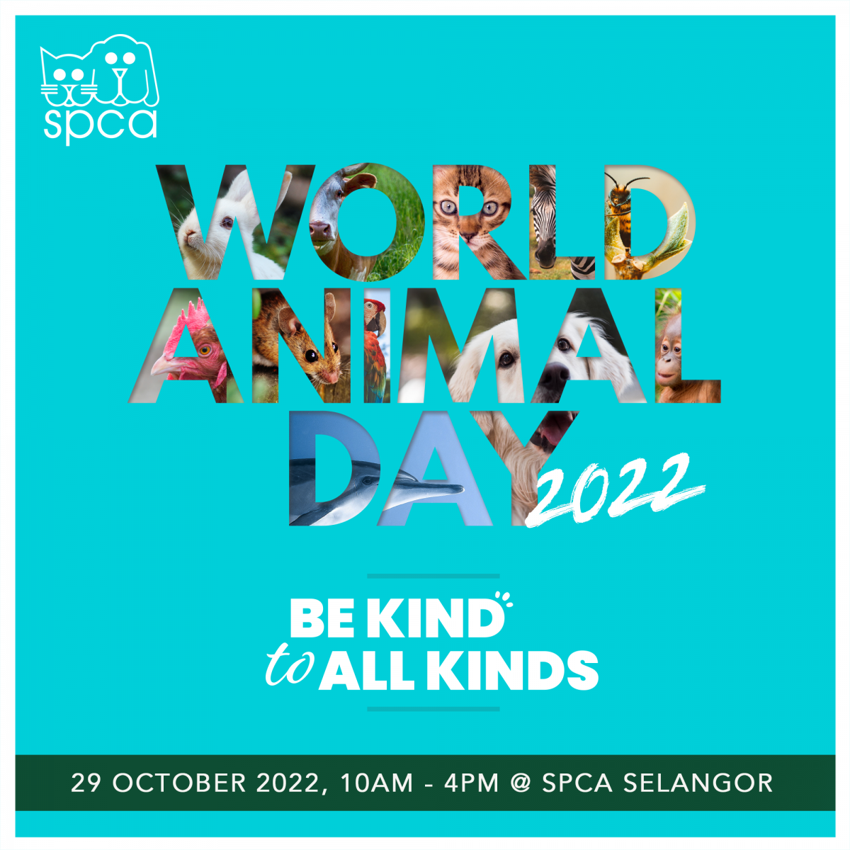 Home - SPCA Selangor