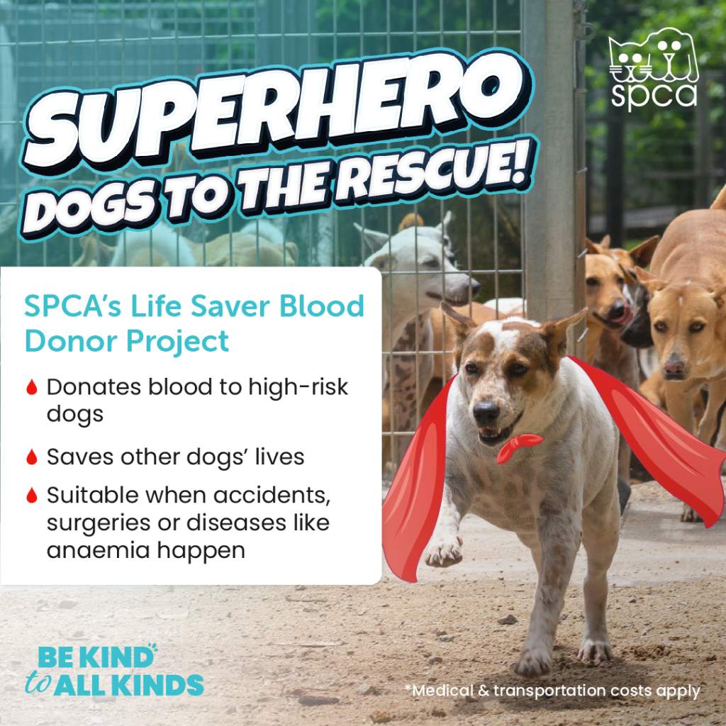 Life Saver Blood Donor Project - SPCA Selangor