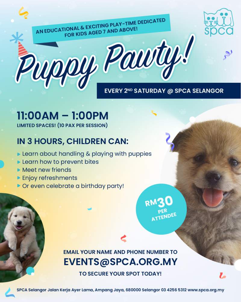 Home - SPCA Selangor